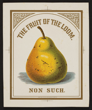 Trade card for The Fruit of the Loom, New Eng. Lith. Co., 109 Summer ...