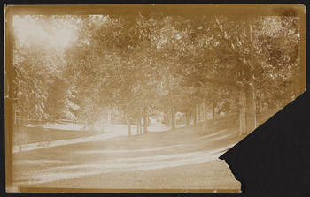 Estate of David Nelson Skillings, Rangeley, Winchester, Mass., undated ...