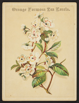 Trade card for Orange Formosa Tea, location unknown, undated | Historic ...