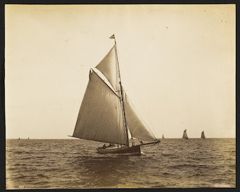 Sea Belle | Historic New England