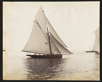 Ulidia | Historic New England