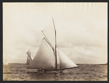 Swordfish | Historic New England