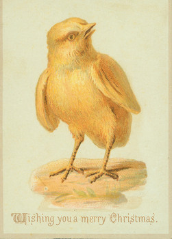 Christmas card, depicting a yellow chick, undated | Historic New England