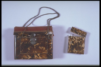 Purse | Historic New England