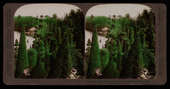 Stereograph, a poem in trees, Hunnewell's grounds, Hunnewell Estate ...