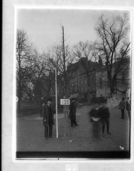 Tree #135 Tremont St.mall of Commons | Historic New England